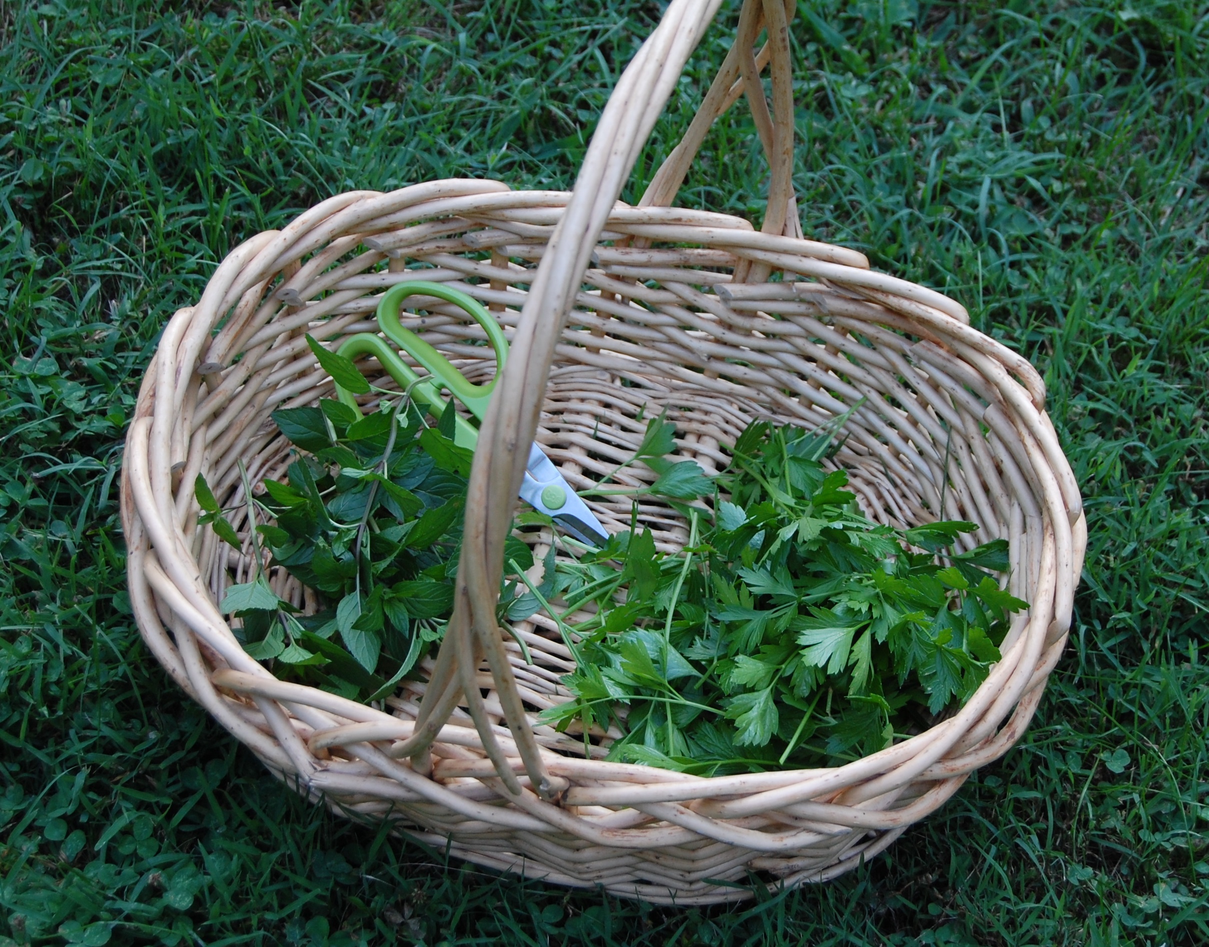 De-stemming Herbs – A Kitchen Tip | Arthurized Home